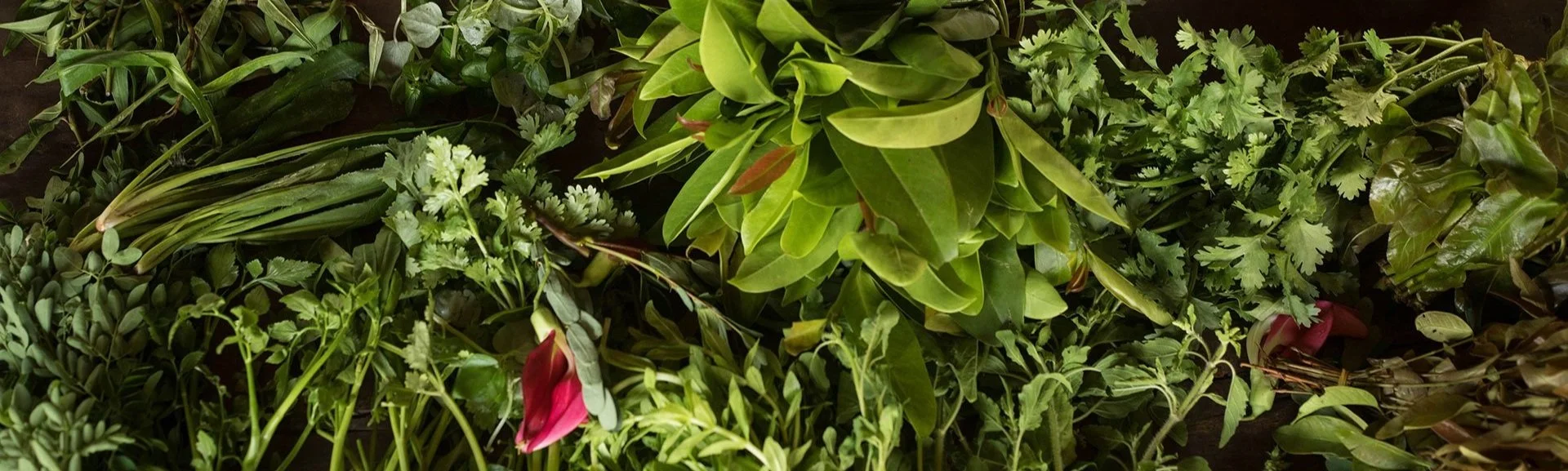 Khmer Herb Linguine — Jennifer Angela Lee / Exploring History and ...