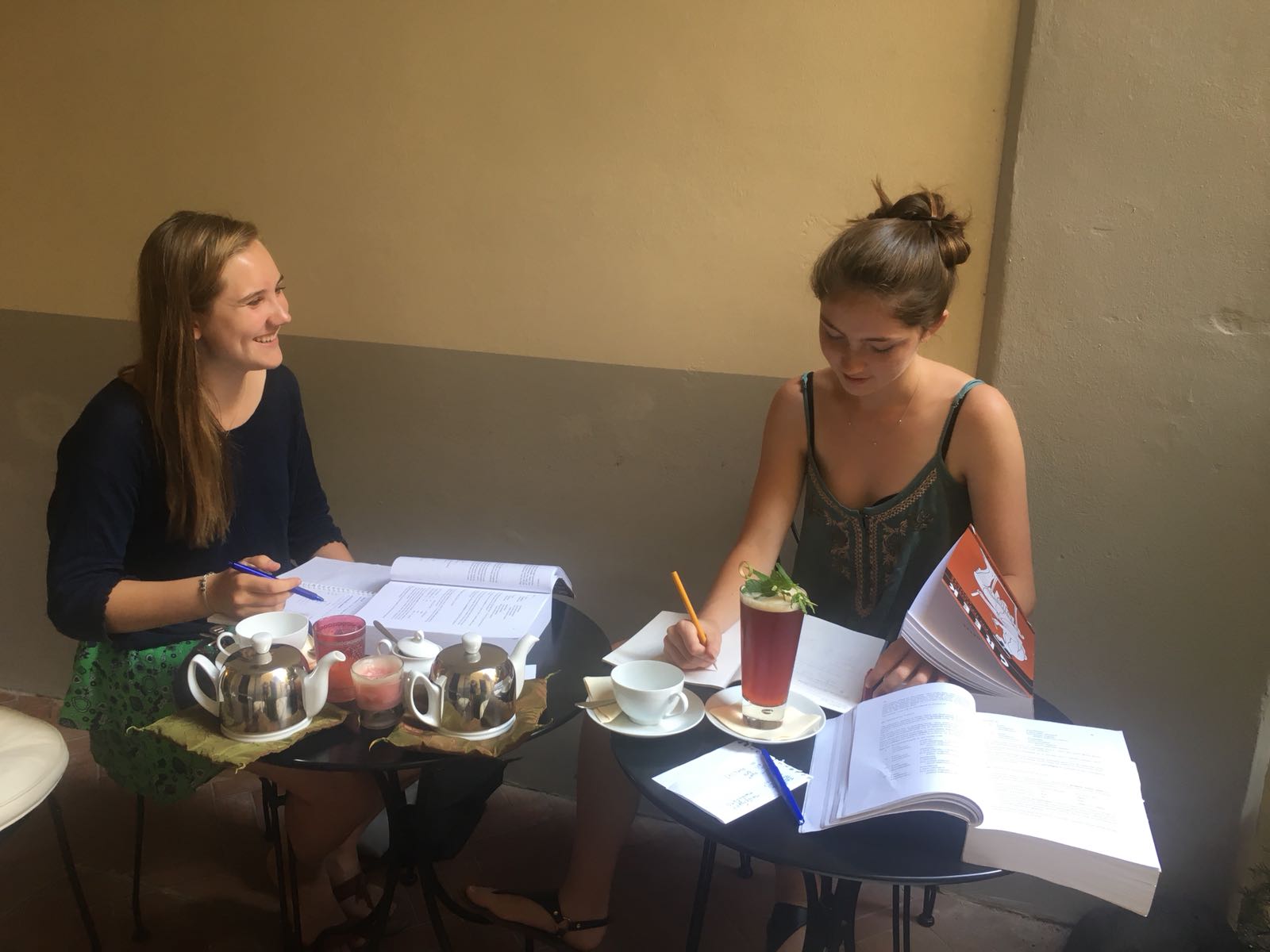 Calder Classics - Florence: Introduction to Ancient Greek + Art History