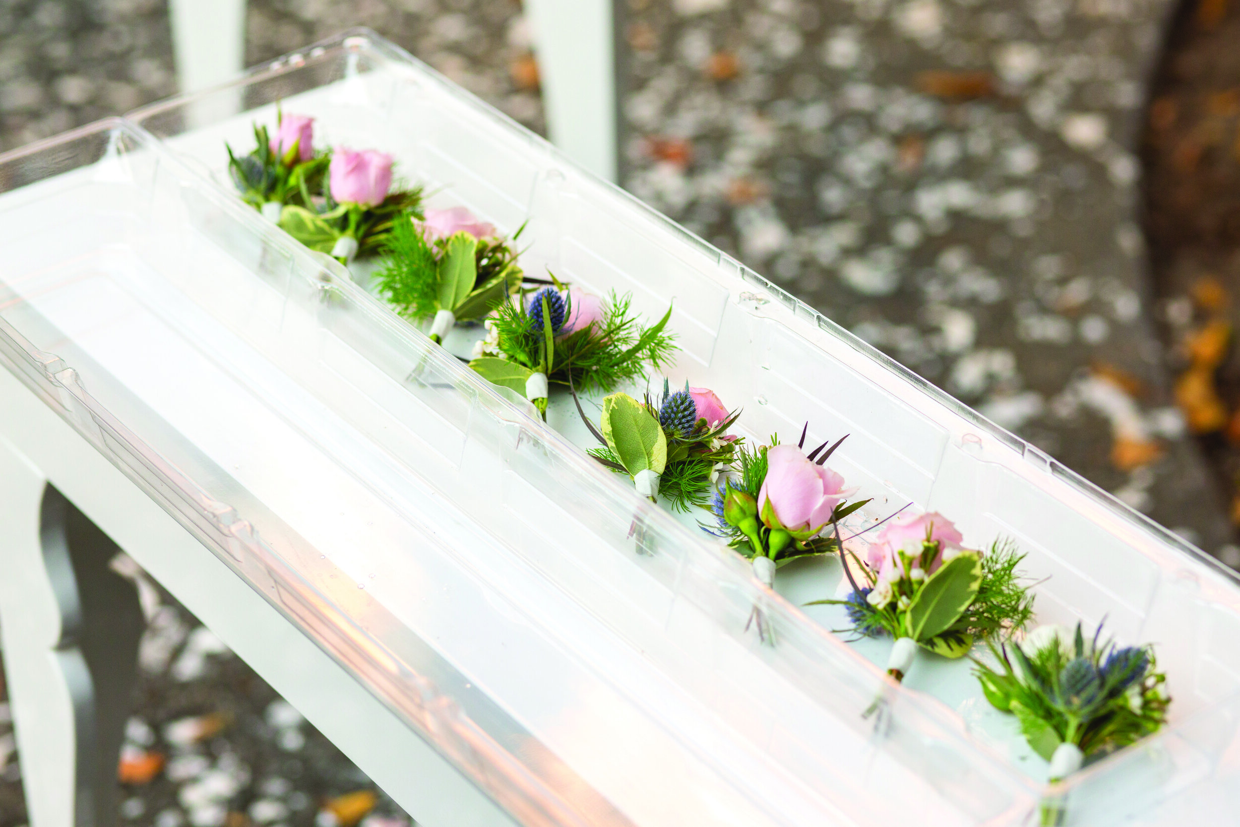 Floral Supplies — Wholesale Flower Market