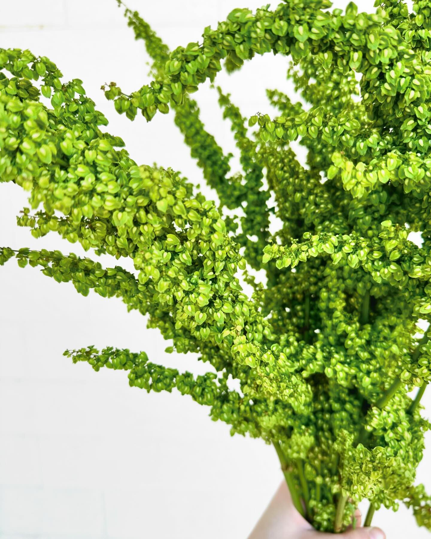 Contact — Wholesale Flower Market