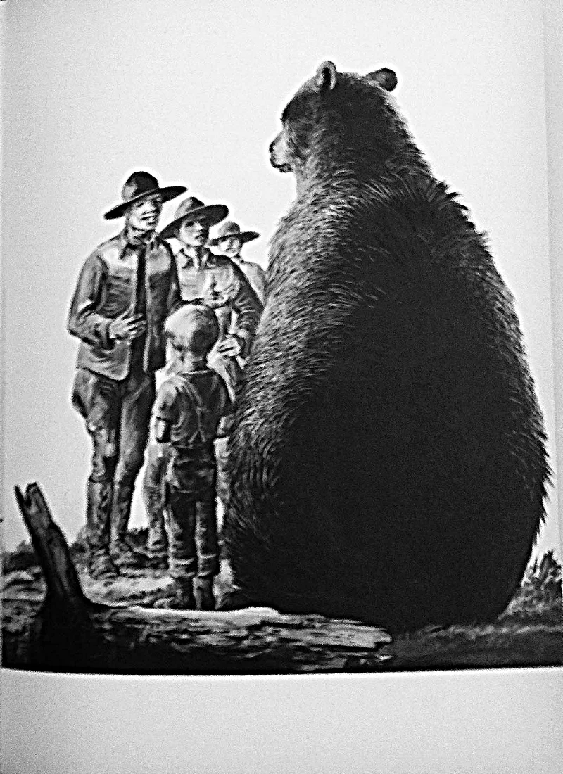 BEAR BOOKS — Art of the Picture Book