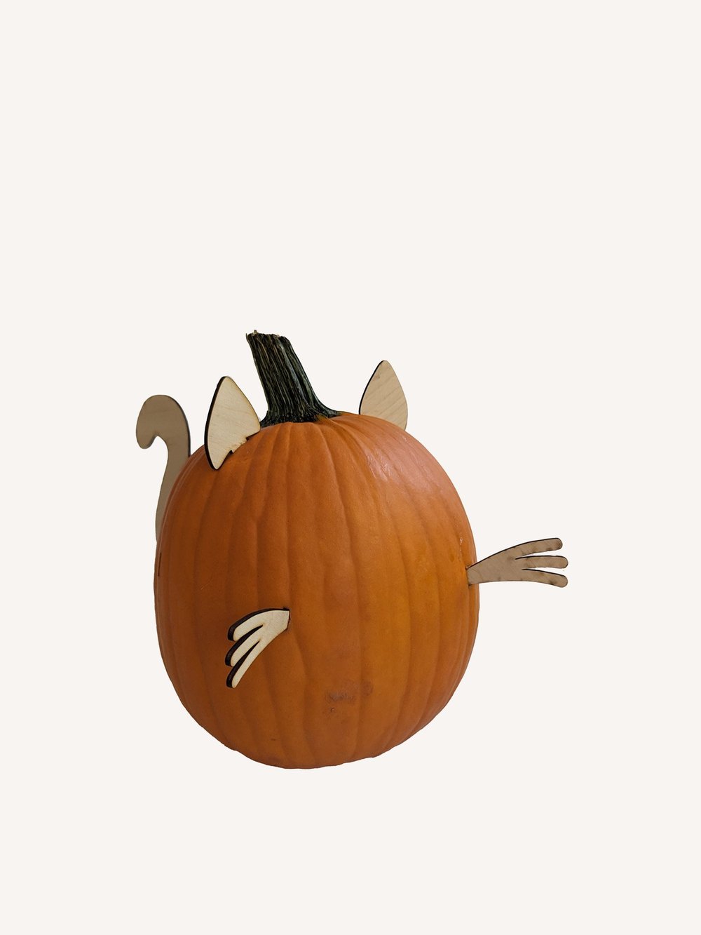 Cat Pumpkin Carvings