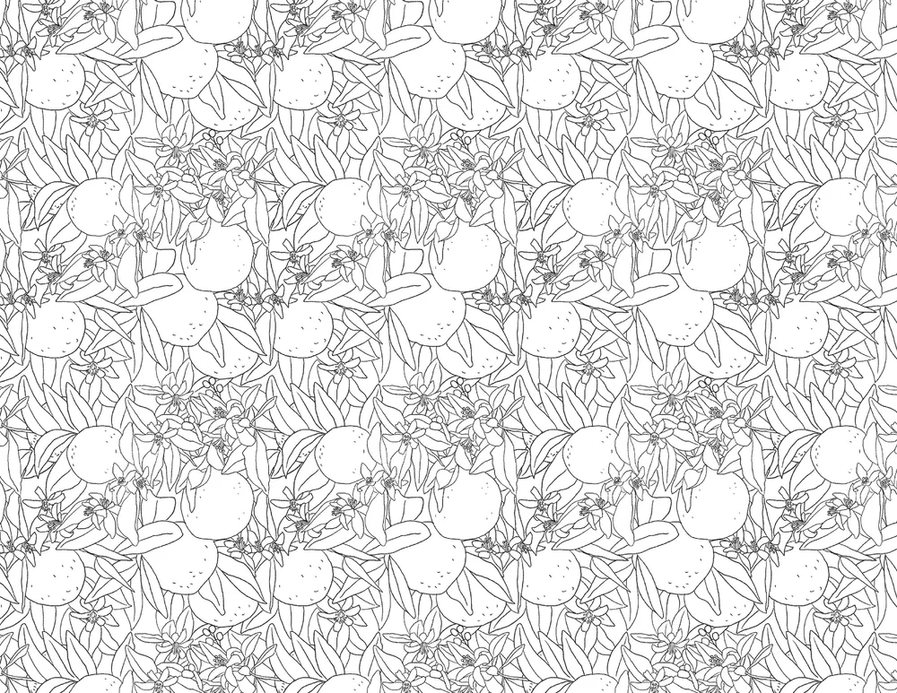 Coloring Pages — The DIME Store