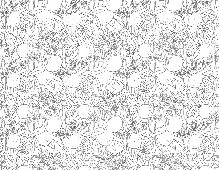 Coloring Pages — The DIME Store