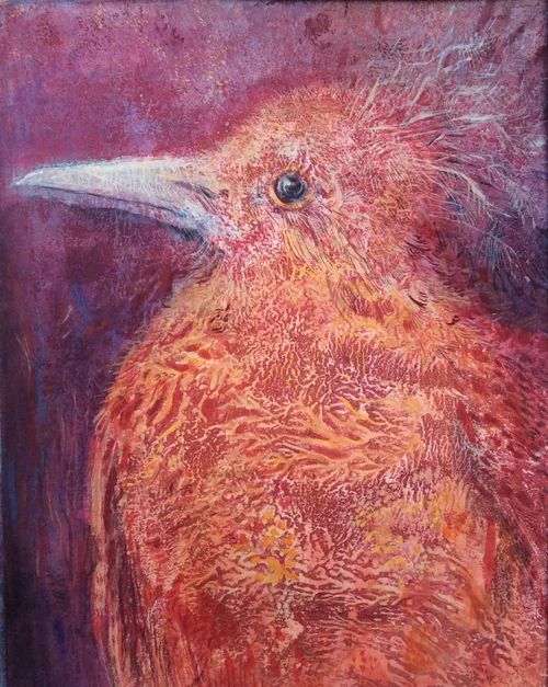 Lorelei Medcalf