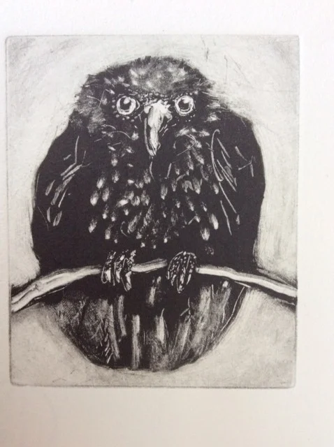 Lorelei Medcalf