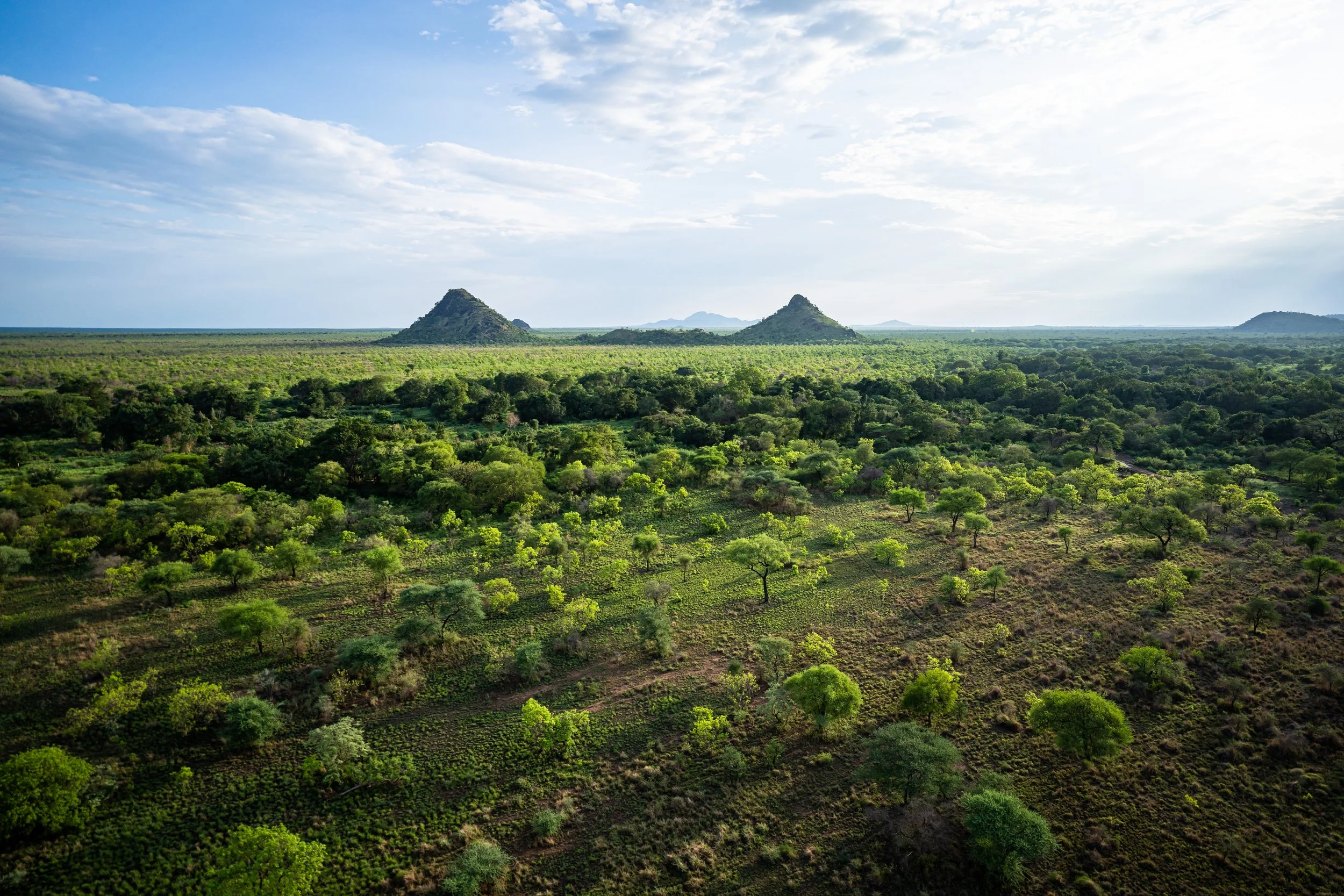 The Miracle of South Sudan / Financial Times — Martin Fletcher
