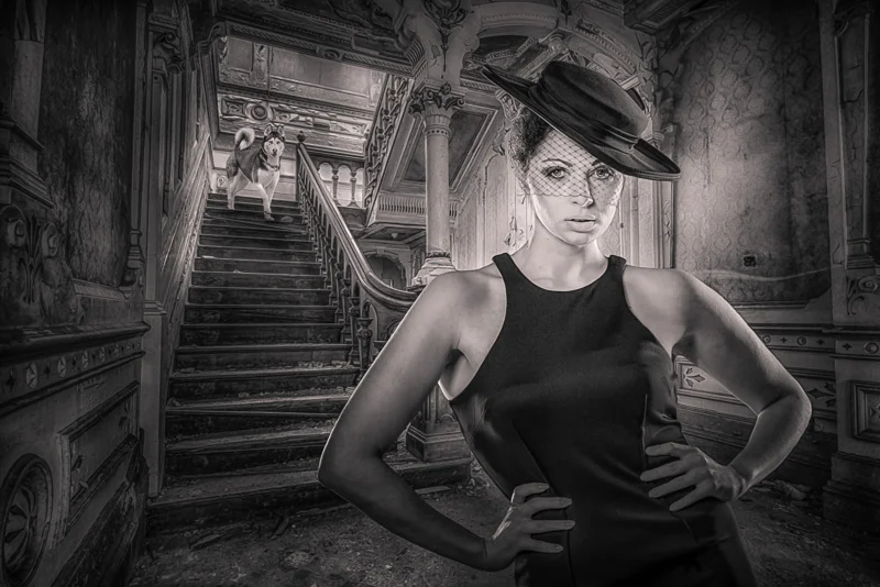 65th Midland Salon of International Photography — Terry Donnelly