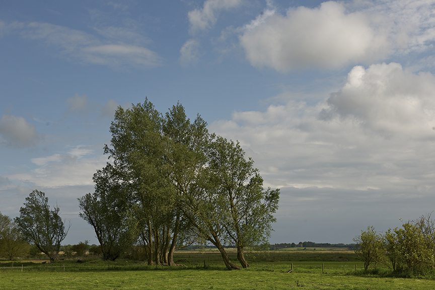 Landscapes — VERNON LAYTON BSC