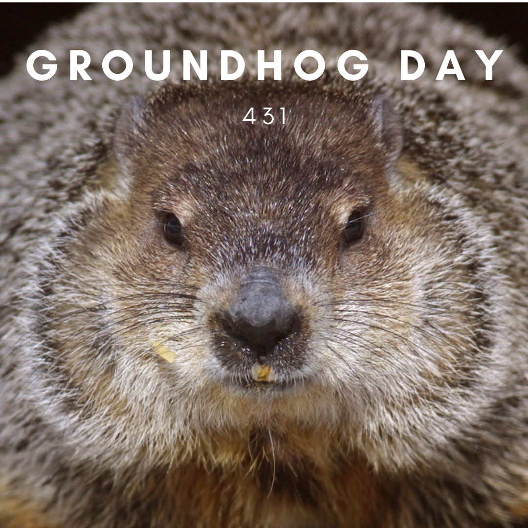 20 Questions Tuesday