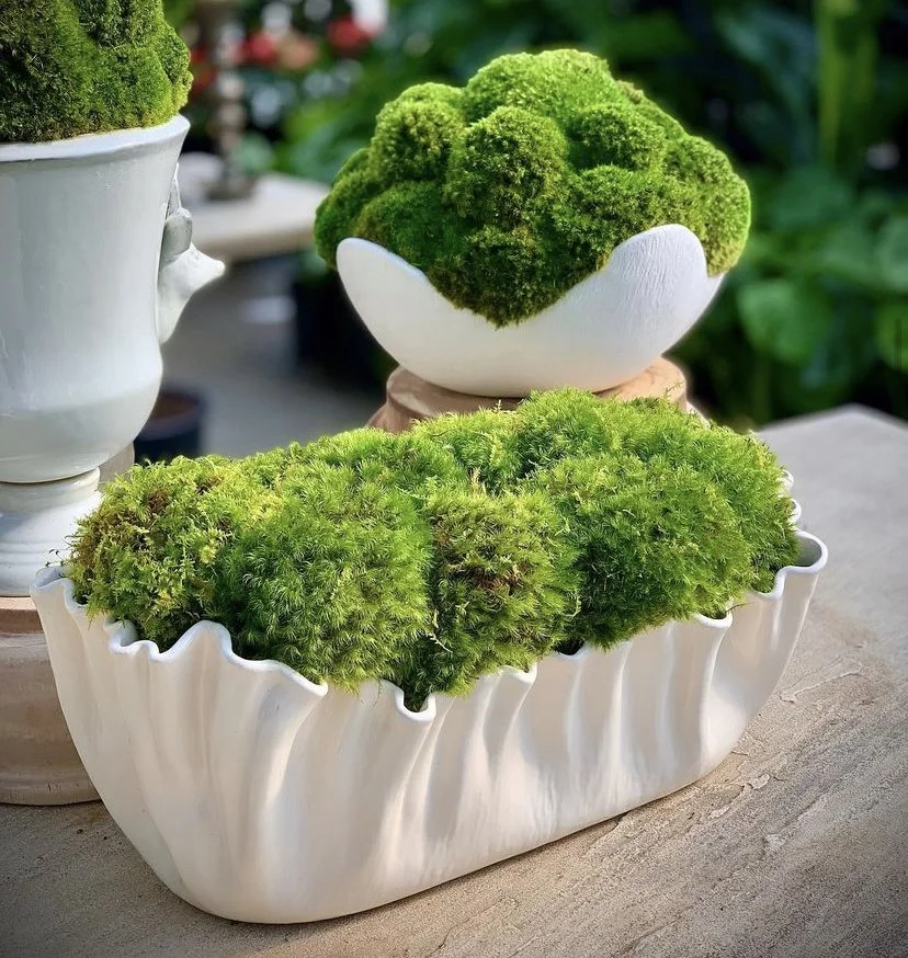 Blog — Contained Creations®