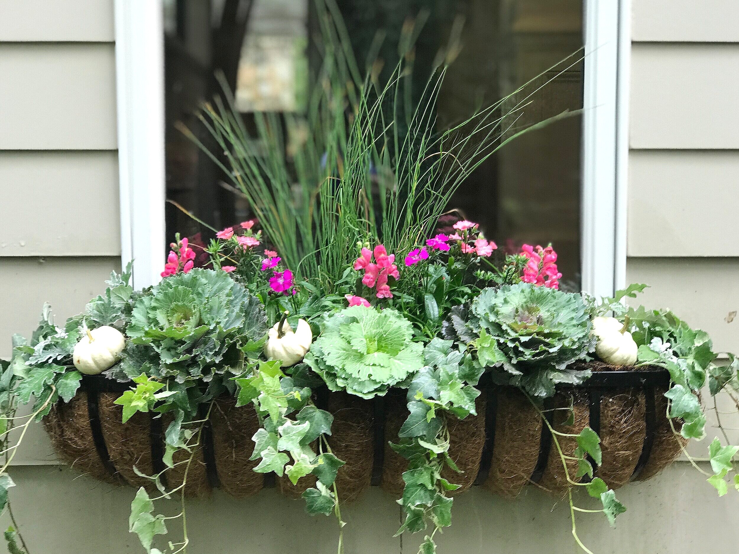 Blog — Contained Creations®