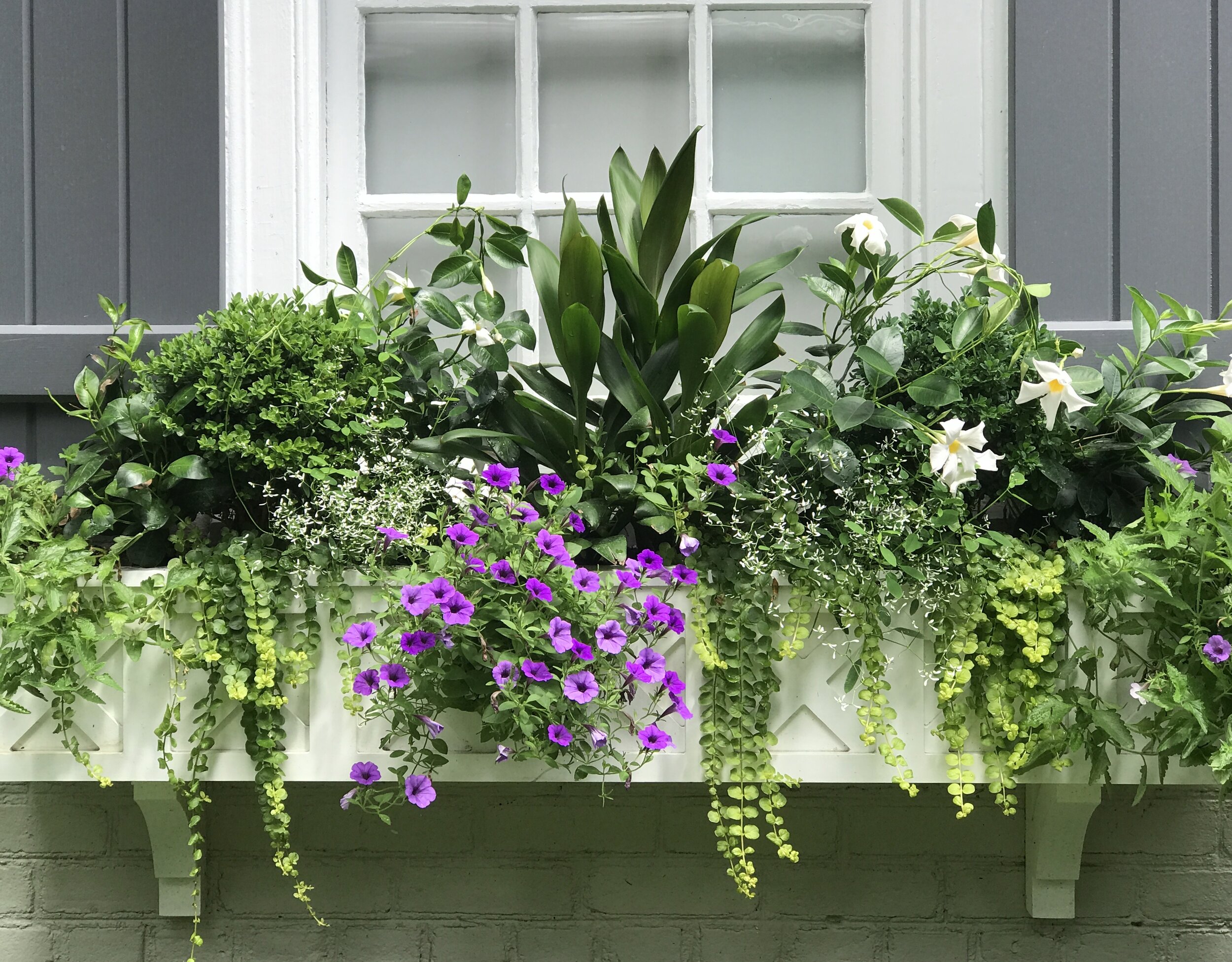 Blog — Contained Creations®