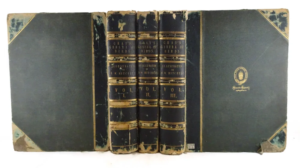 Book Conservation — REDBONE BINDERY