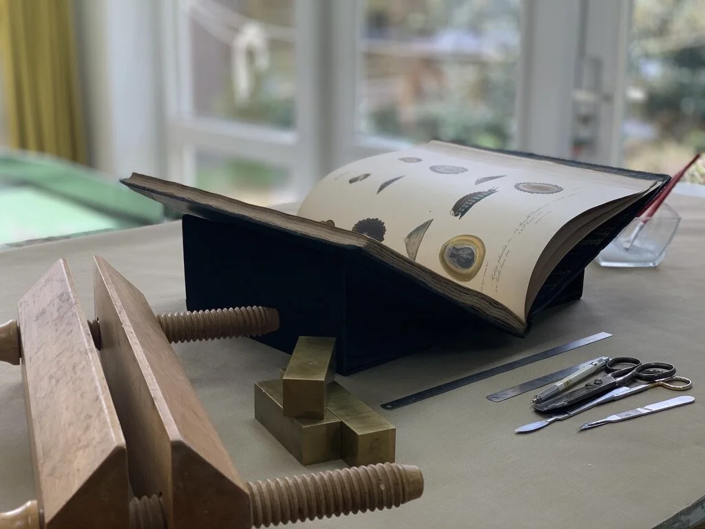 Stilt Book Cradles — REDBONE BINDERY