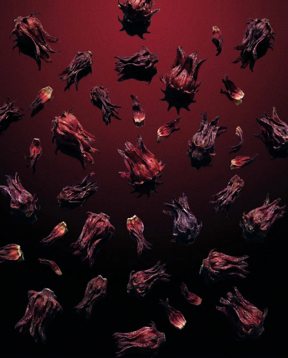 Fashion News, Cultural Highlights - Amouage Love Hibiscus: New Secret ...