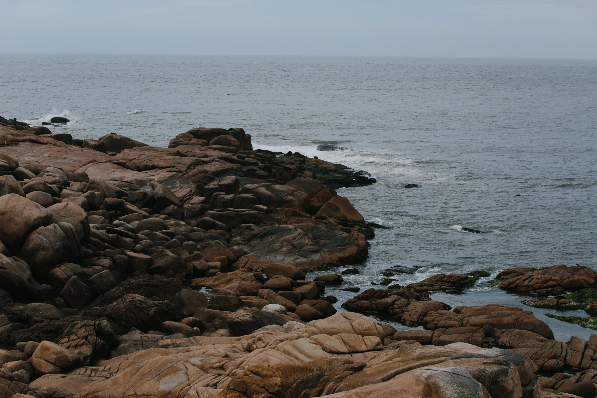 Cabo Polônio: Guia Para Visitar a Reserva Ecológica Uruguai - Eduardo ...
