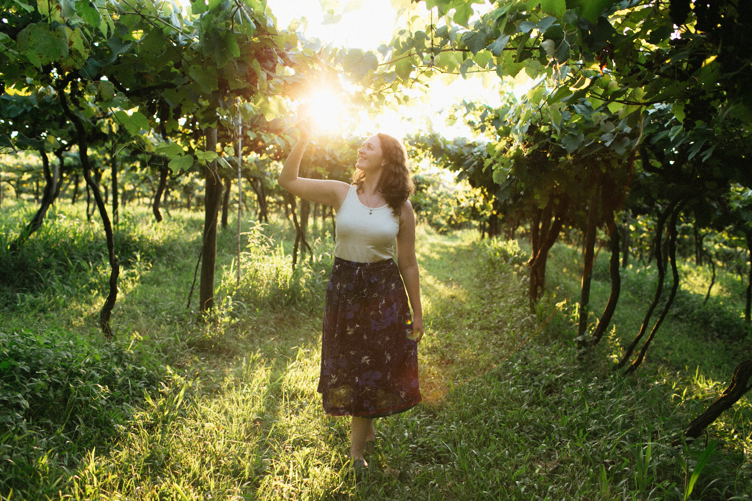 Backlight Fotos: 10 dicas Básicas de Fotografia Contraluz - Eduardo ...