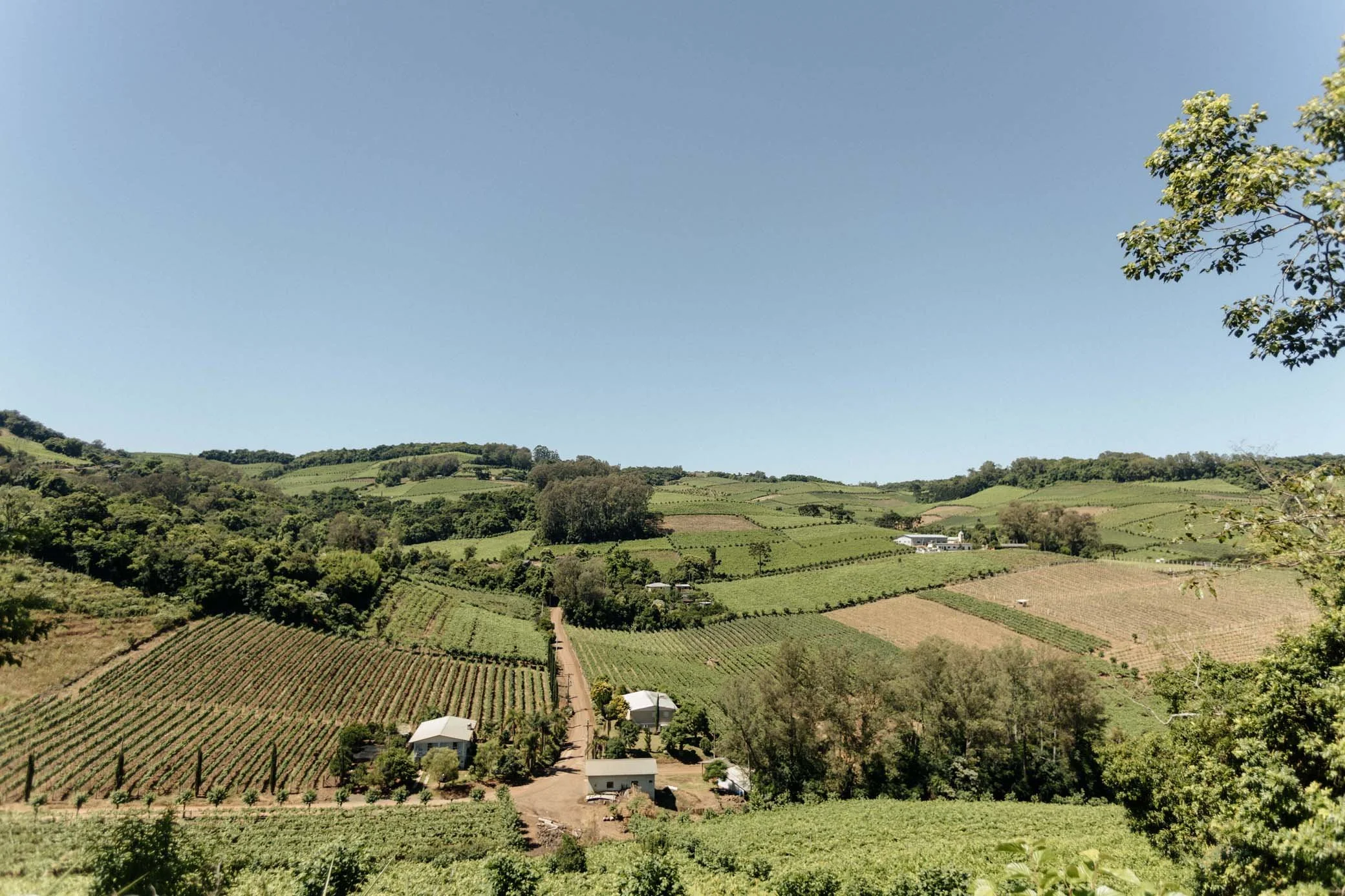 O que Fazer em Monte Belo do Sul: Atrações e Roteiro - Eduardo & Mônica