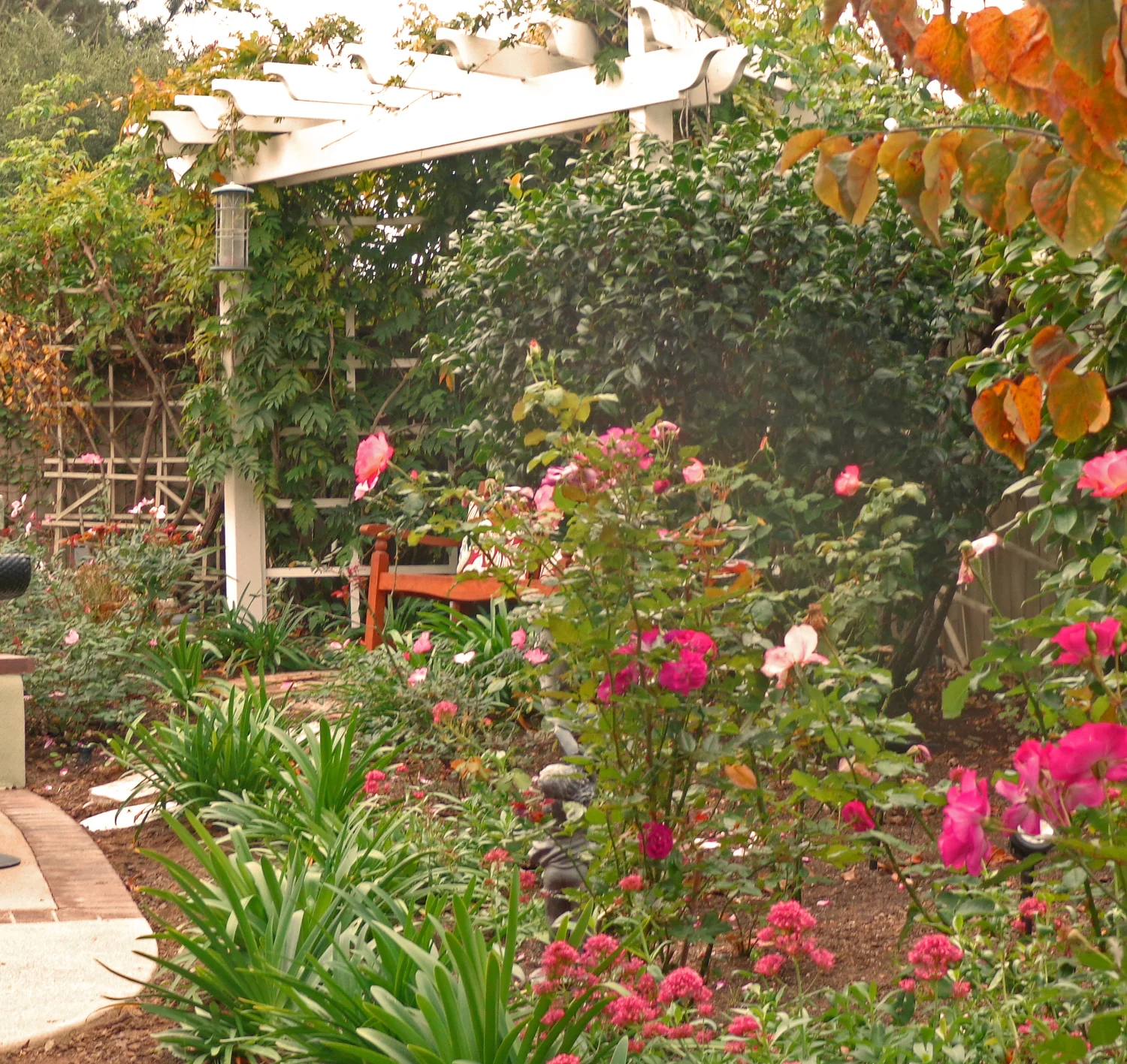 Fine Gardening — Heubach Landscape Design - San Diego