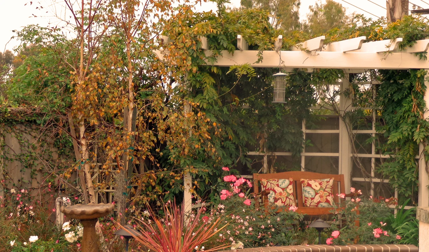 Fine Gardening — Heubach Landscape Design - San Diego