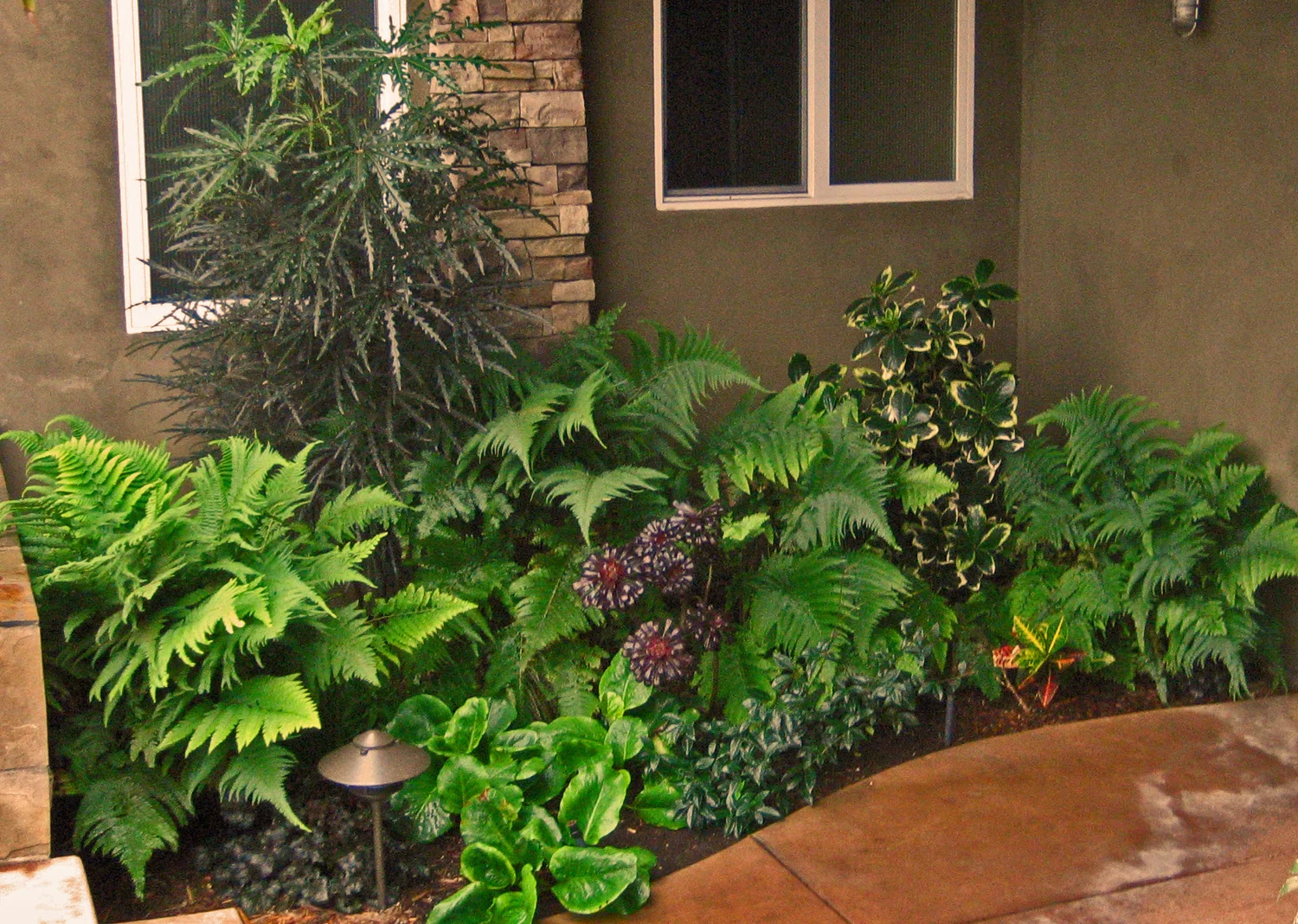 Fine Gardening — Heubach Landscape Design - San Diego