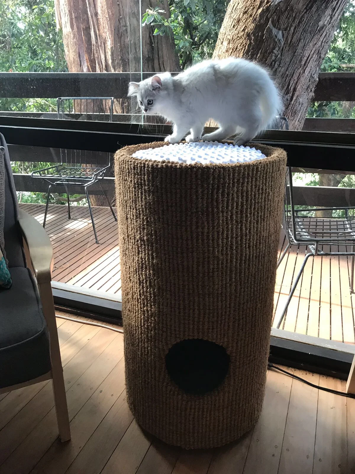 Hicat® | CHAT Blog - Hicat® Australia Update