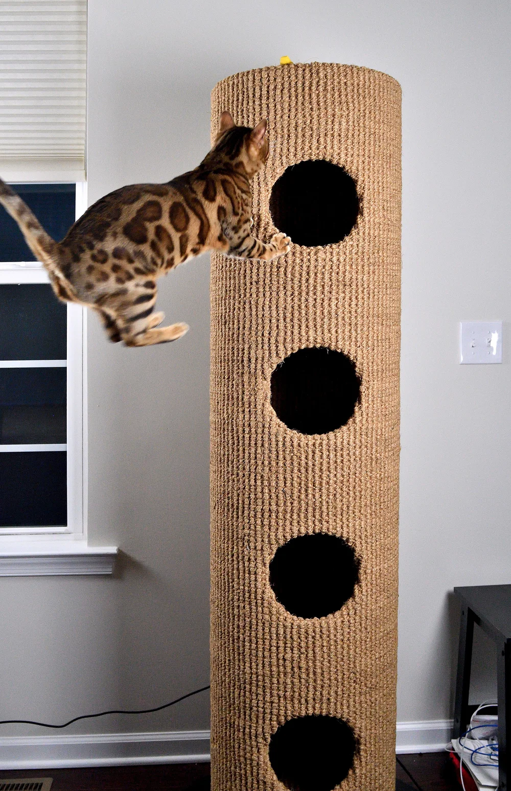 Hicat® | Hicat Testimonials