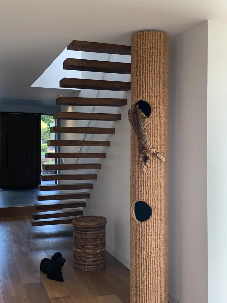 Hicat® | Made-to-Measure Cat Climbers & Bespoke Cat Furniture