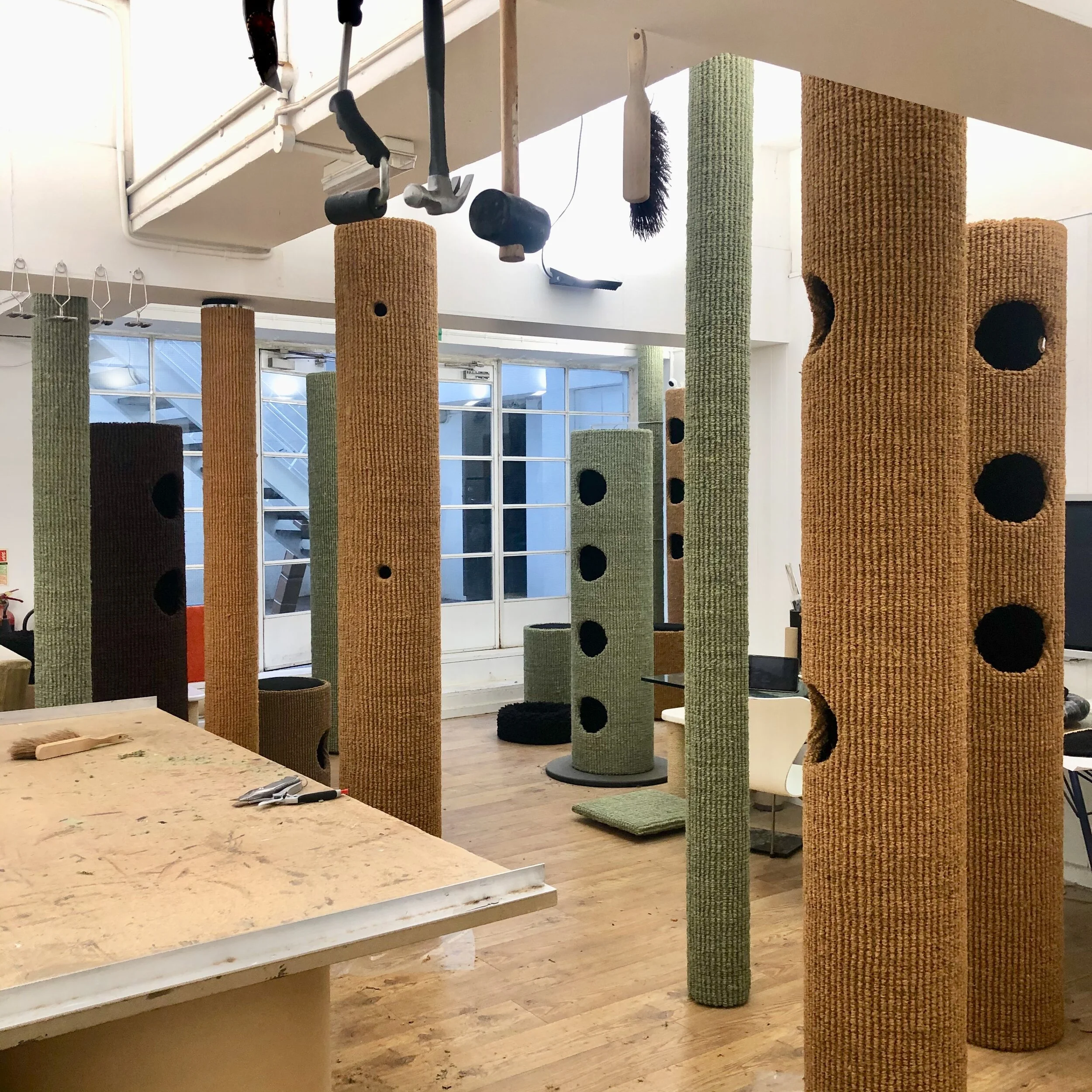 Hicat® | CHAT Blog - Hicat® Jungle