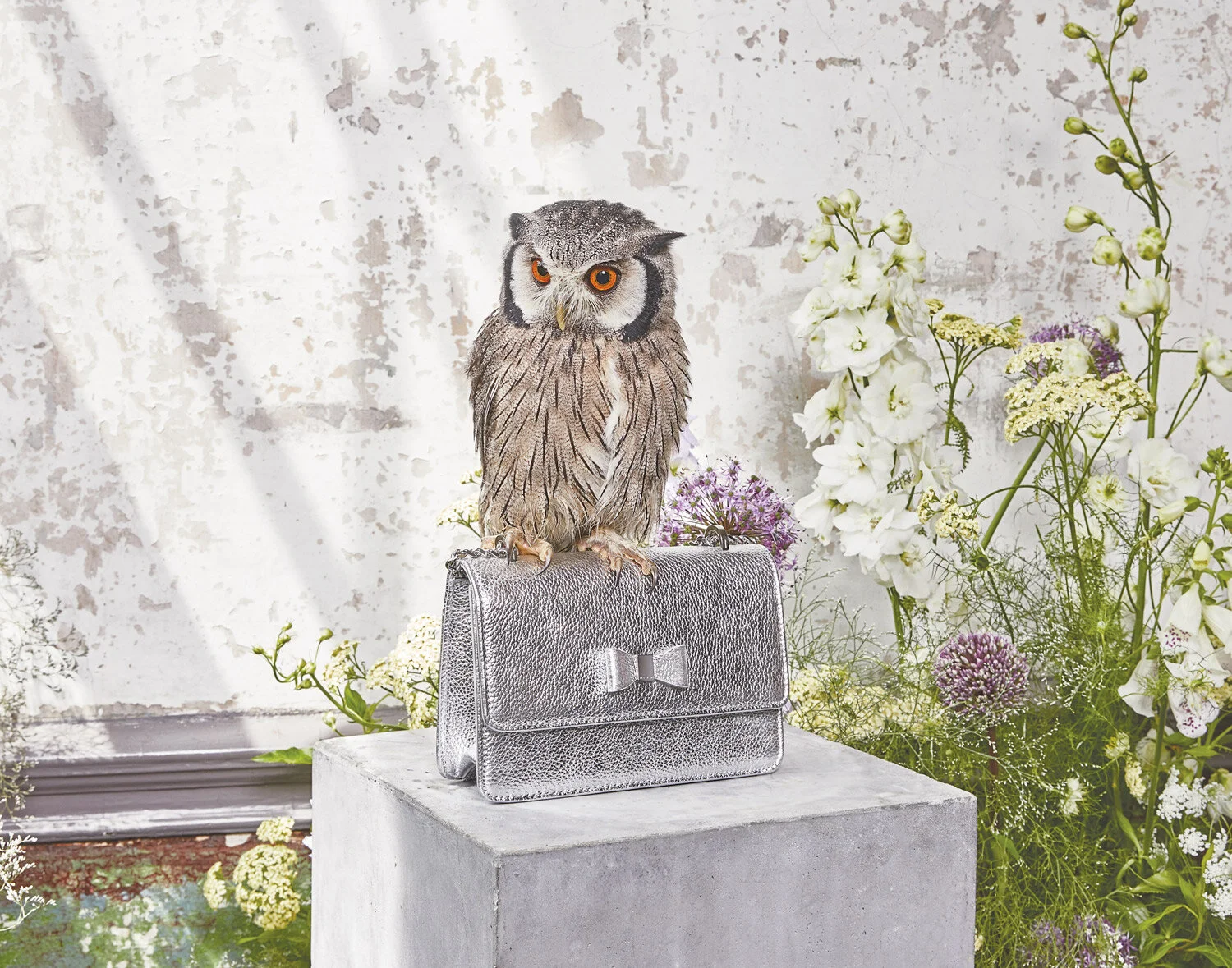 STEVE GALLAGHER PHOTOGRAPHY