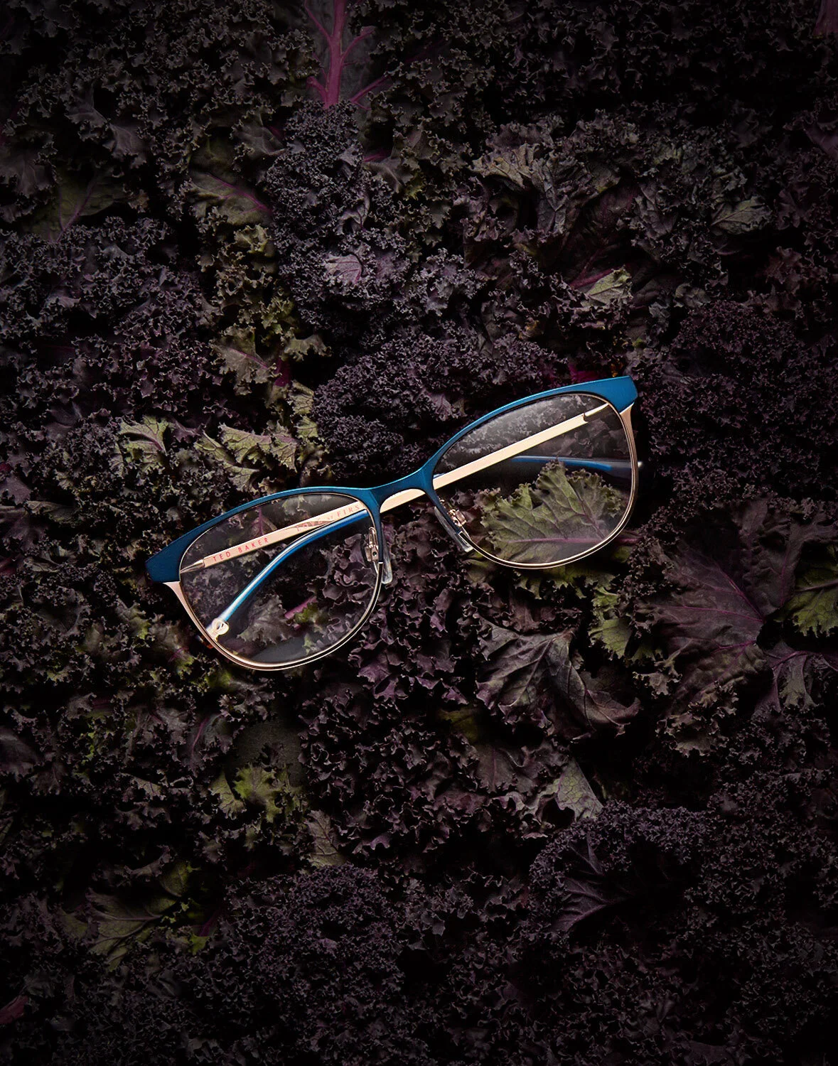 ACCESSORIES — STEVE GALLAGHER PHOTOGRAPHY