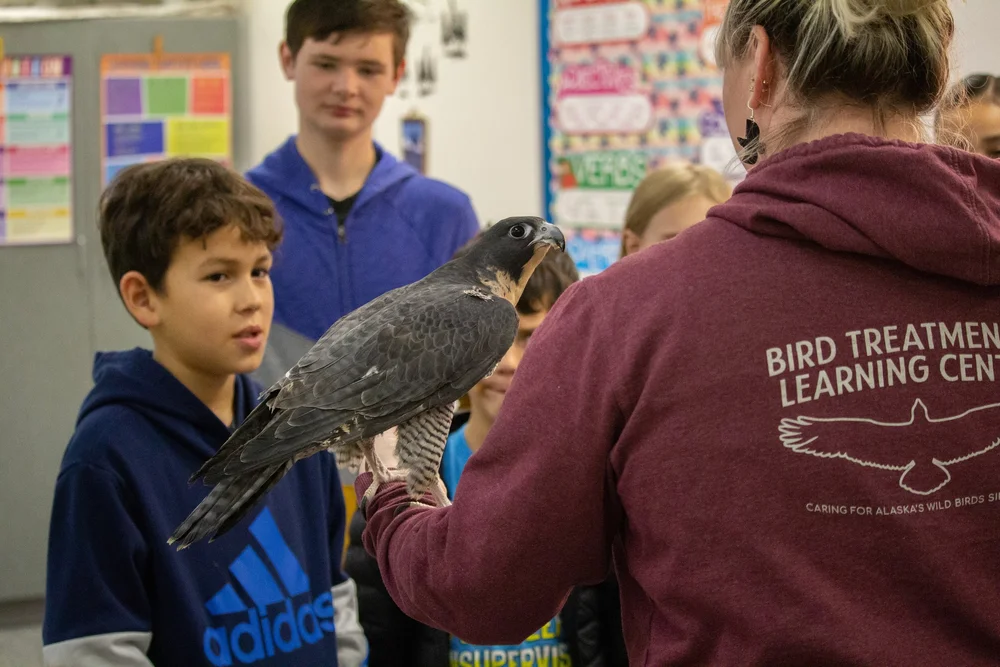 Conservation Education Programs for Youth and Adults — Bird Treatment ...