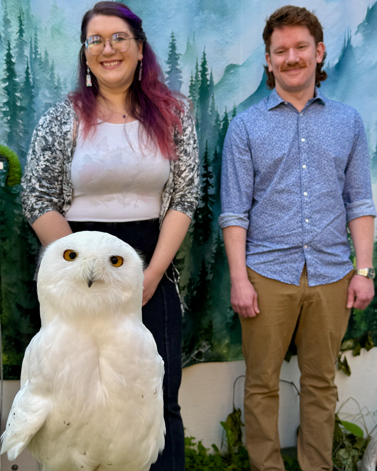 Ambassador Bird Meet and Greet — Bird Treatment and Learning Center