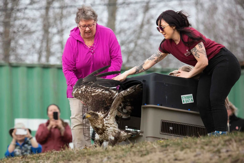 About Bird TLC — Bird Treatment and Learning Center