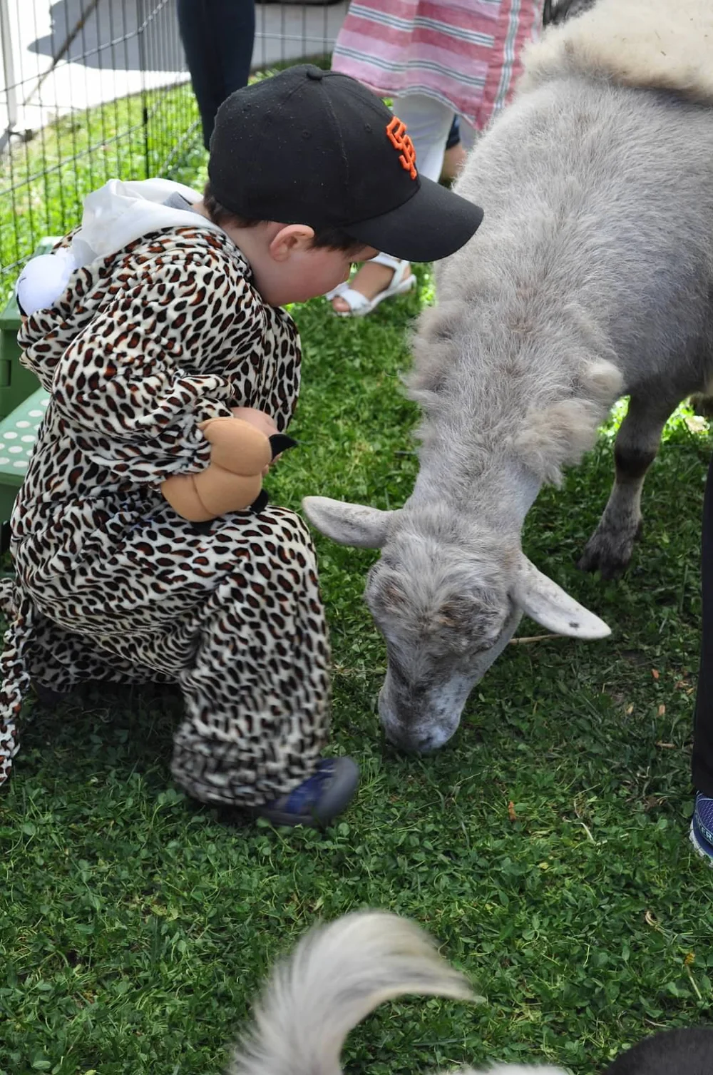 SPNS Frequently Asked Questions FAQ — Sequoia Parents Nursery School