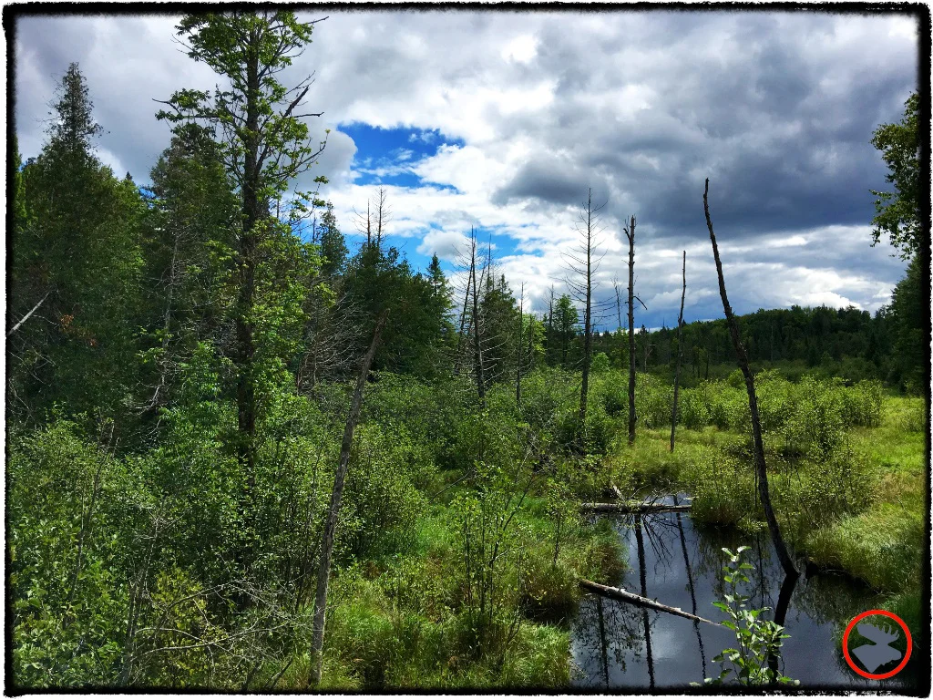 Sylvania Wilderness: A Canoe Camper's Retreat in Yooper Land! — Bull ...