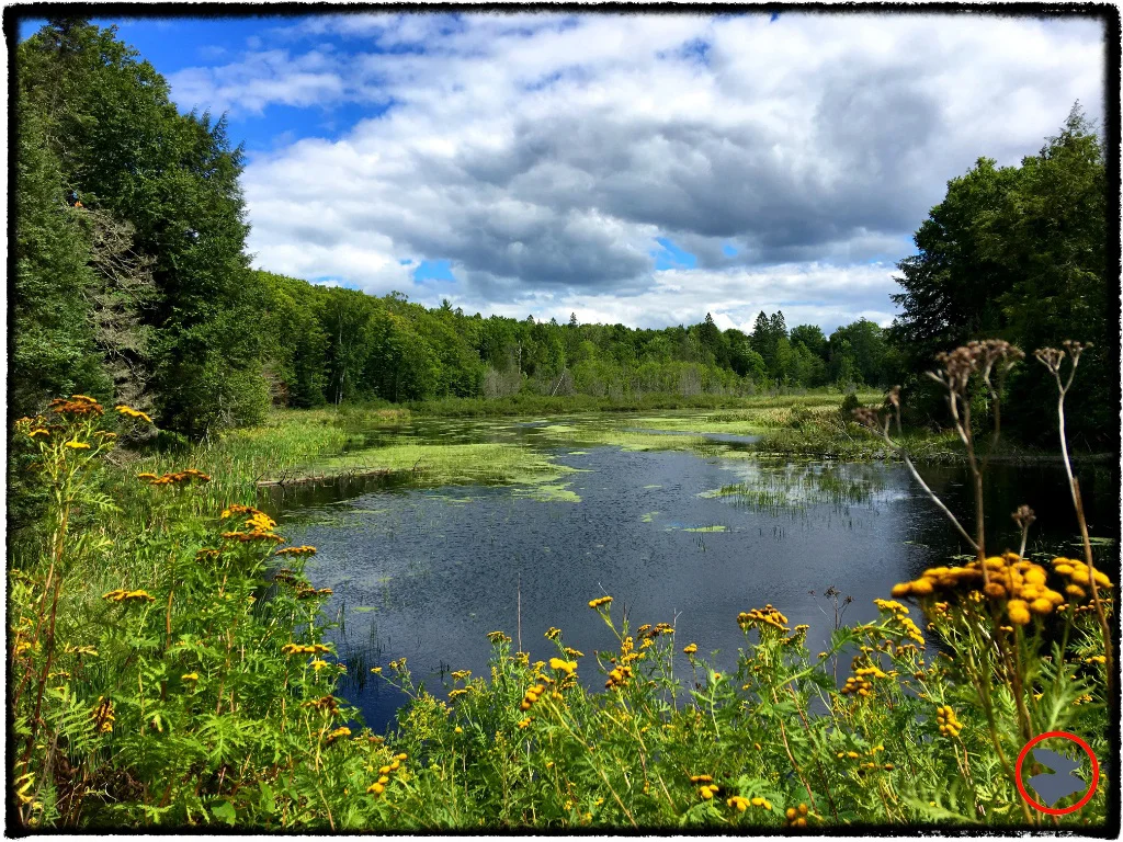 Sylvania Wilderness: A Canoe Camper's Retreat in Yooper Land! — Bull ...