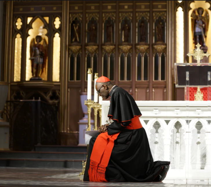 While Catholic Twitter rages, Cardinal Sarah takes a sobering look at ...