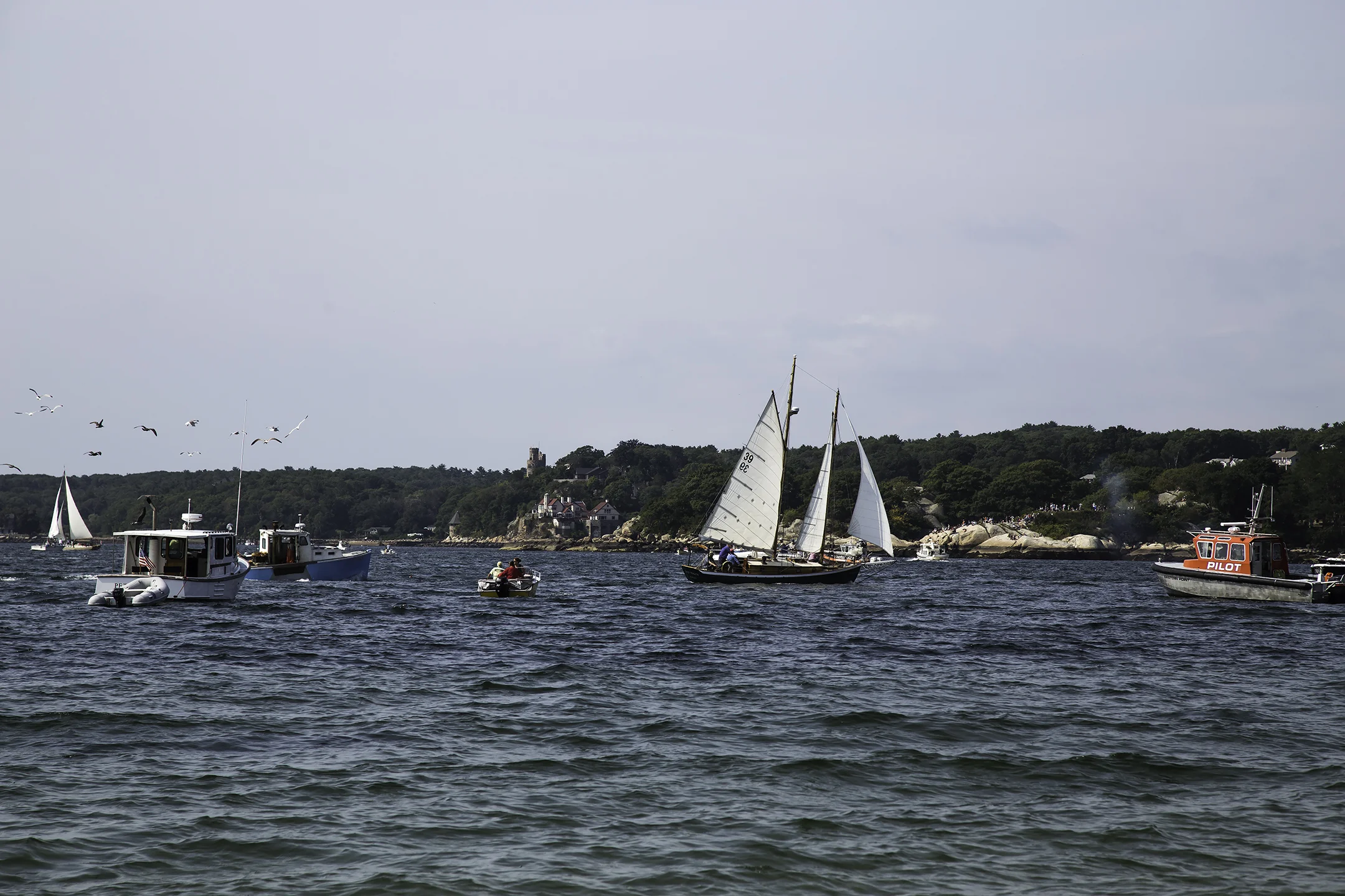 Cape Ann, MA — Mark Rothschild Photography