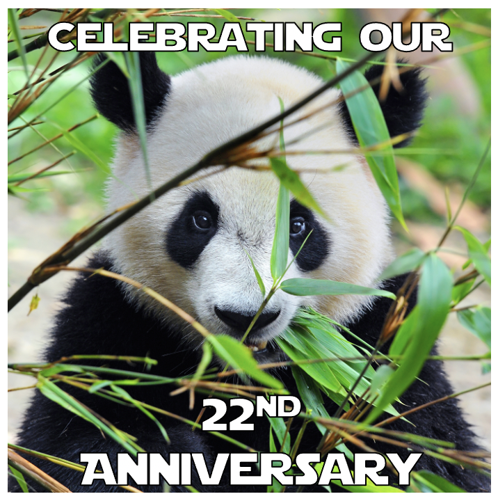 Blog — Panda Consulting