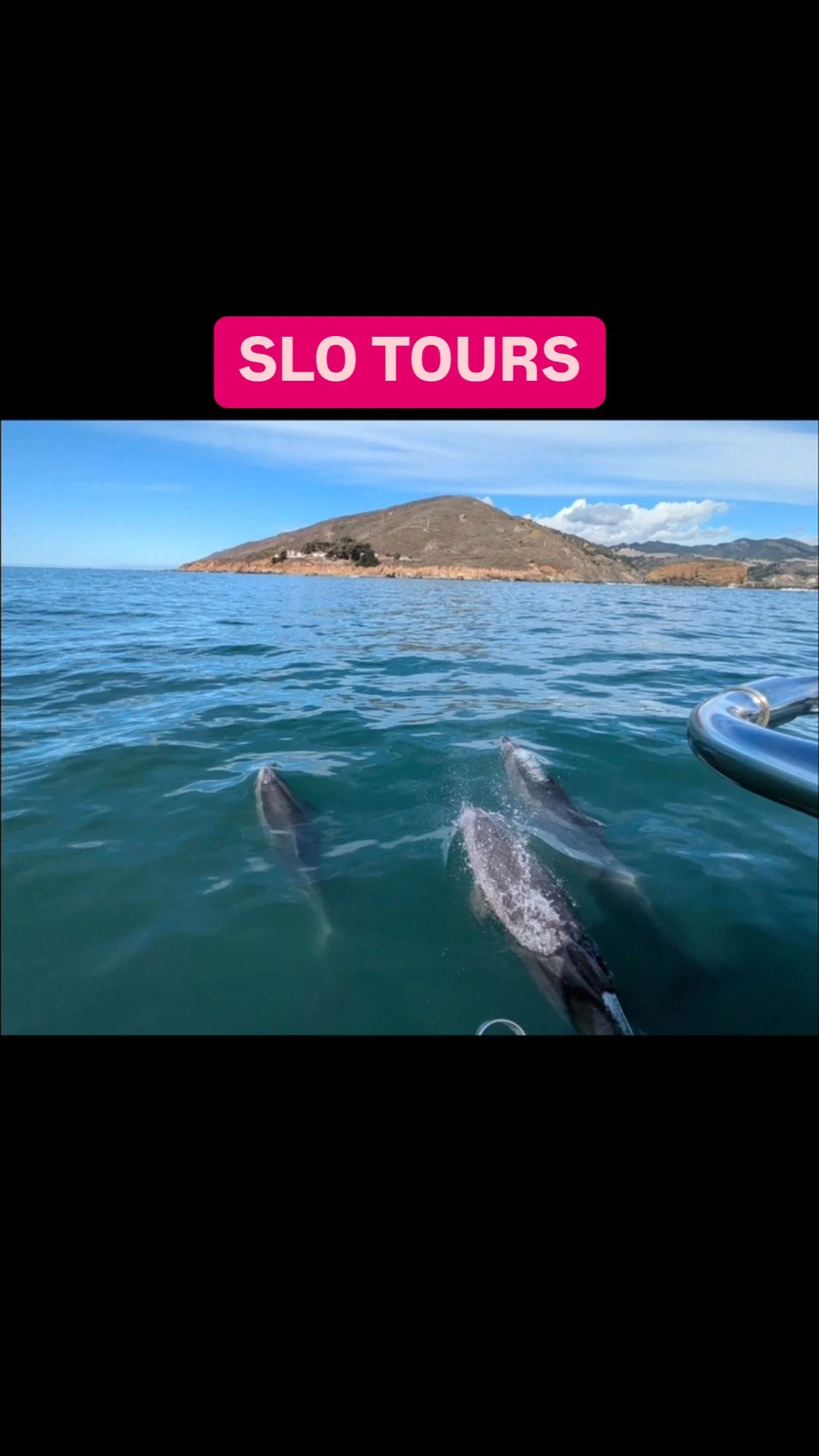 Port San Luis Obispo Luxury Sunset Charters - Harbor Cruises - Whale ...