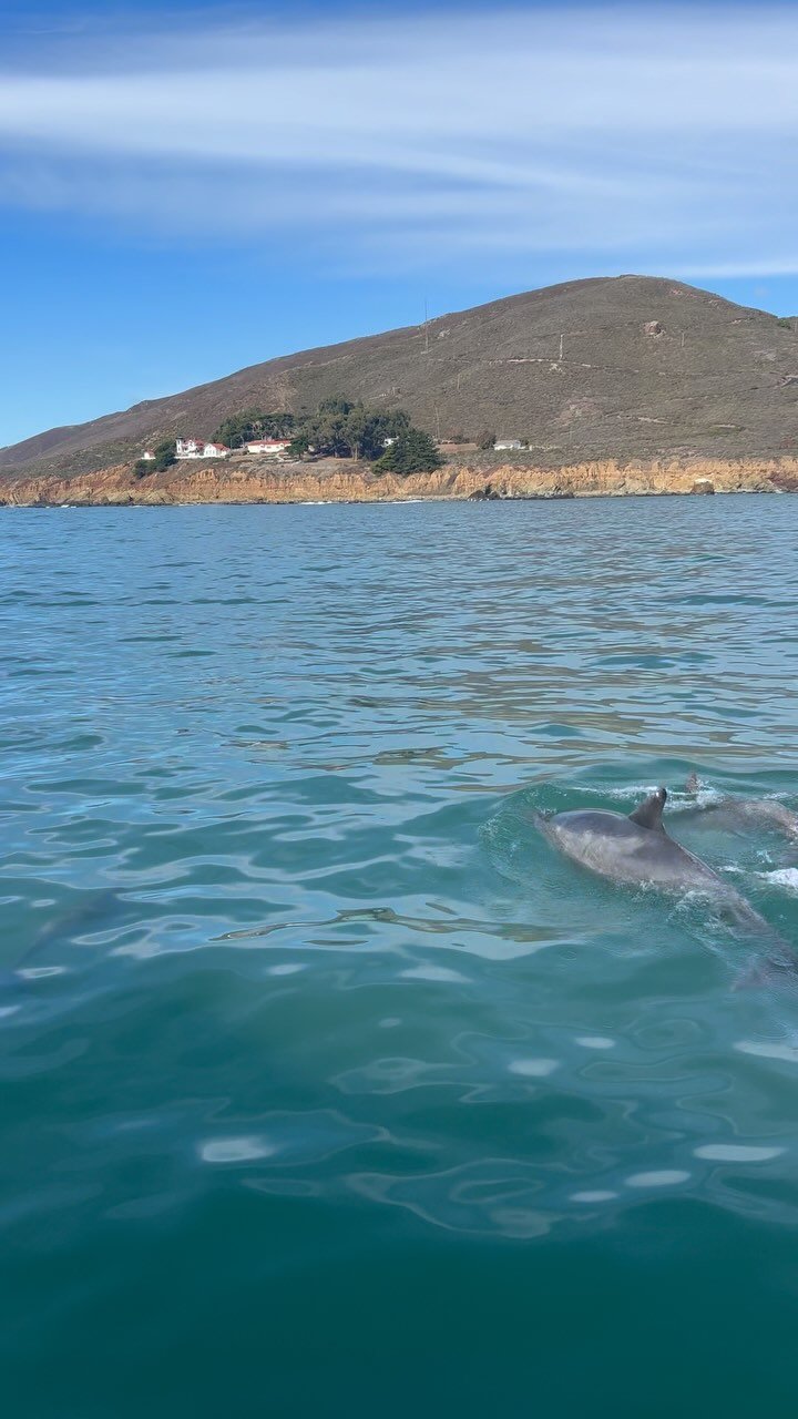 Port San Luis Obispo Luxury Sunset Charters - Harbor Cruises - Whale ...