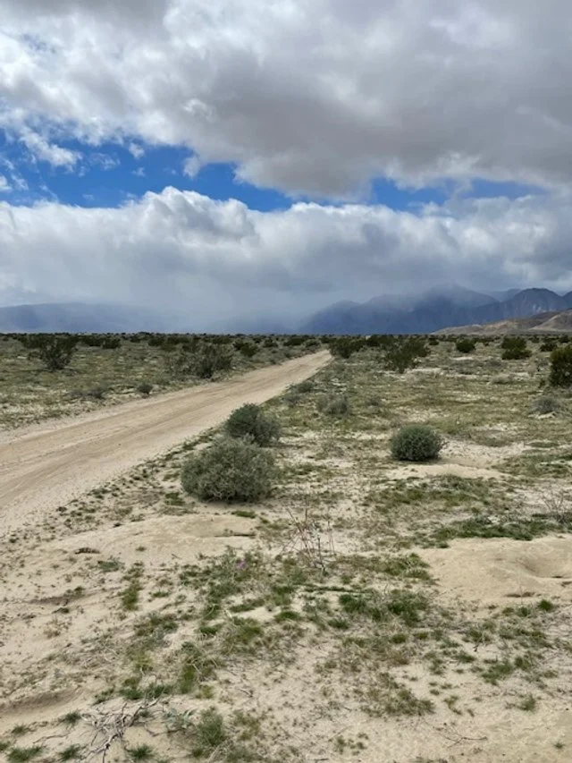 John Straley's Blog — John Straley