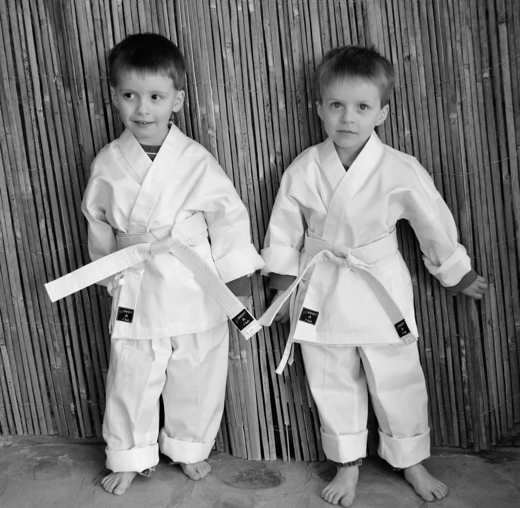 Programs — Family Karate Center