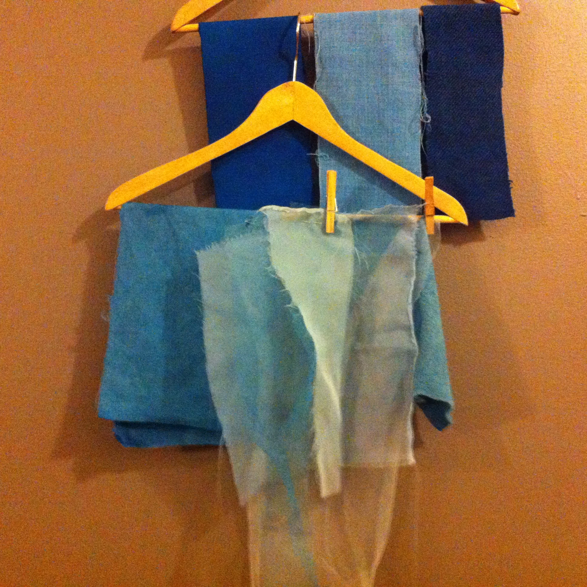Entering the World of Extracts: Saxon Blue — the dogwood dyer