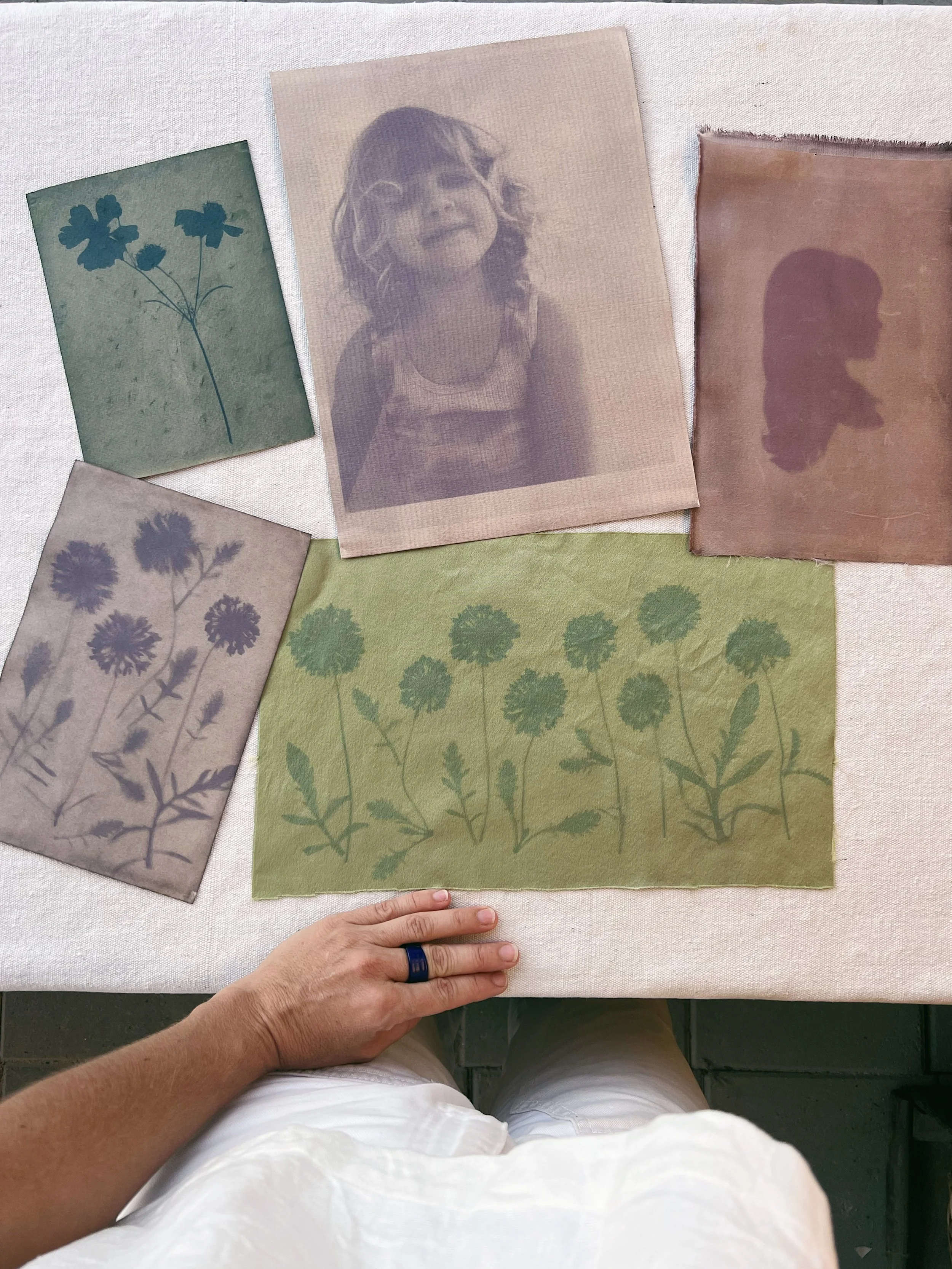 Subscribe- A Year in Natural Dyes — the dogwood dyer