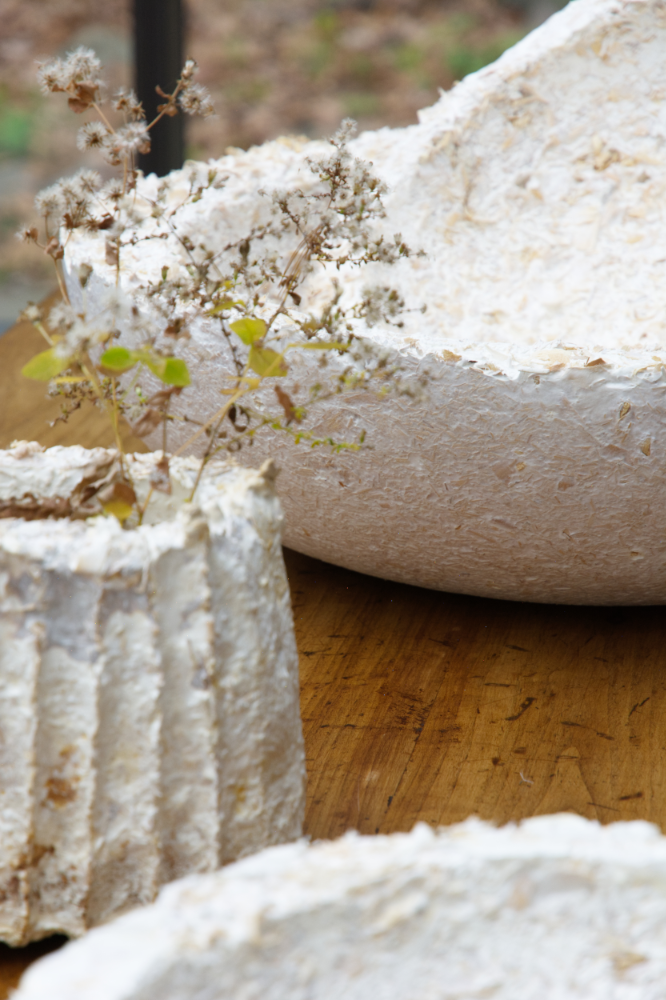 Large bowl cast mycelium homewares display — PaperJoy Studio
