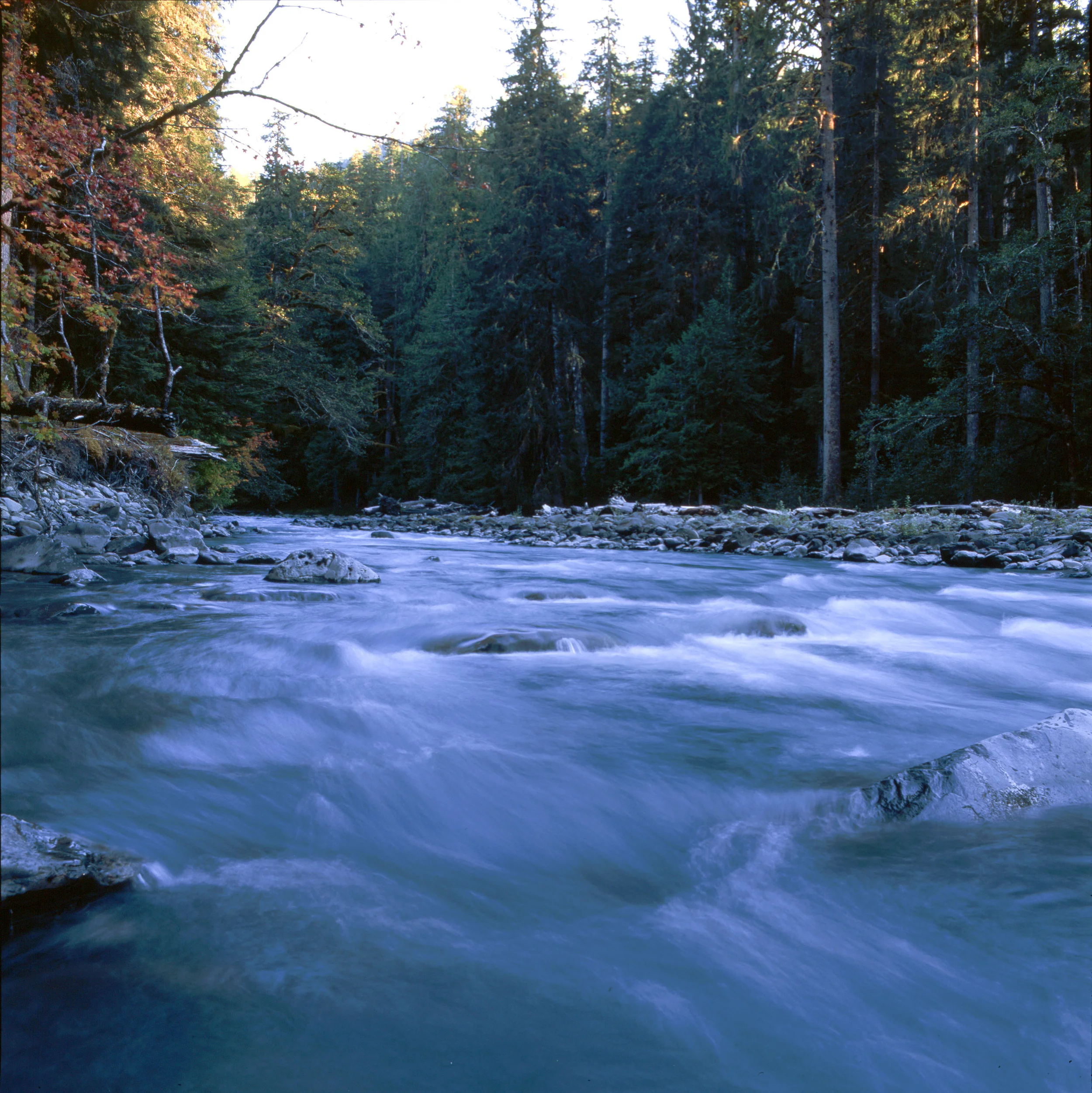 Hoh River Trail to Blue Glacier, Olympic National Park — Ray Phung ...