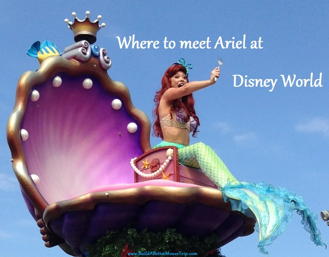 Where To Find Ariel, the Little Mermaid, at Disney World